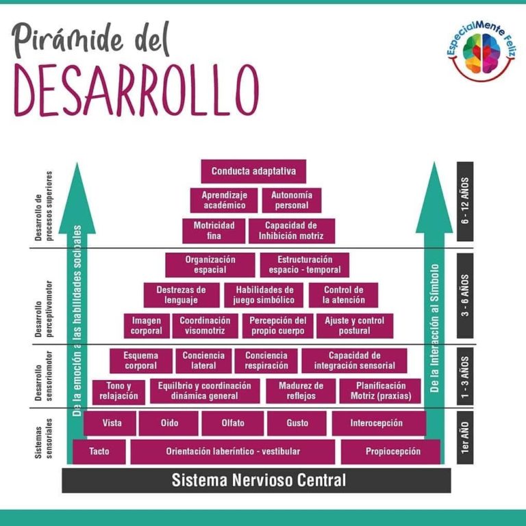 ¡La Terapia de Integración Sensorial en casa! - Hop'Toys